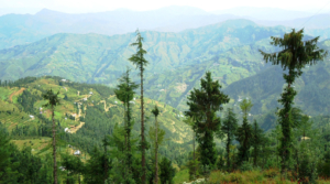 Kufri Hill Station, Himachal Pradesh