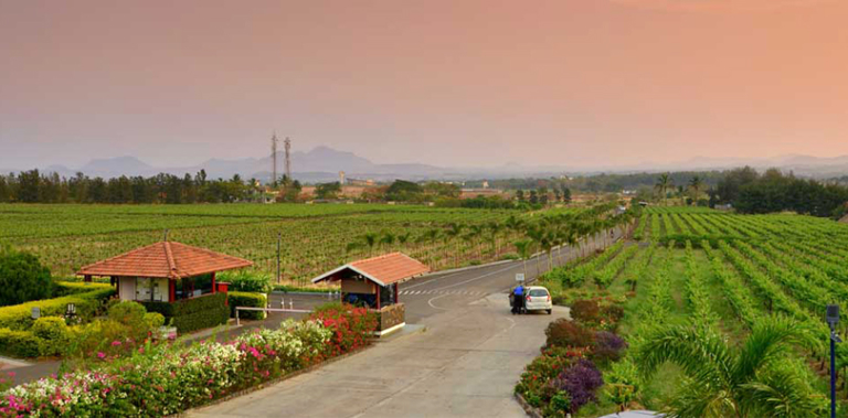 Best Places to Visit in Nashik Maharashtra | Tourist Places