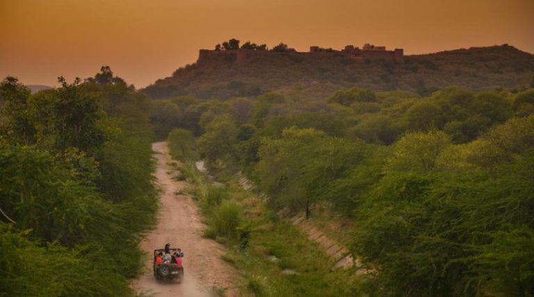 Ramathra Fort | Best Hotel in Karauli