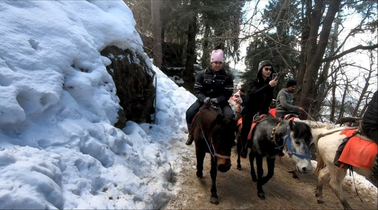 Kufri-A Beautiful Hill Station in Shimla