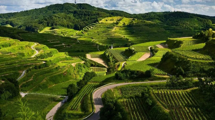 Best Time to Visit Coorg – Weather, Season & Travel Guide